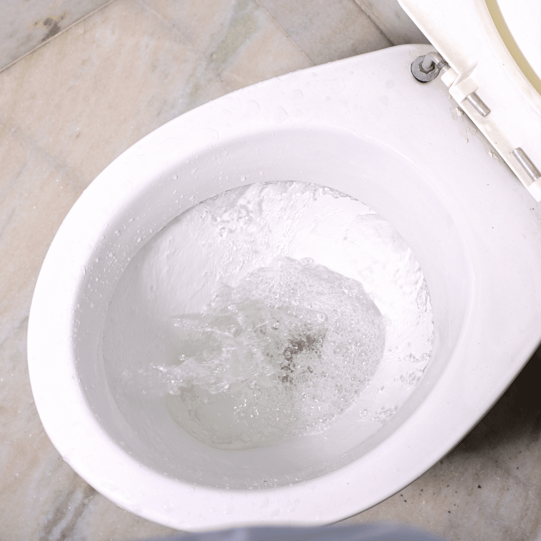 4 Tips for Choosing a New Toilet | The Mink Plumbing